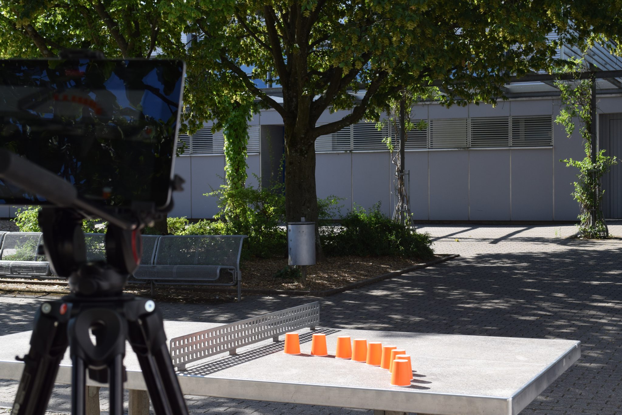Realschule Bissingen | LKJBW.de Blog